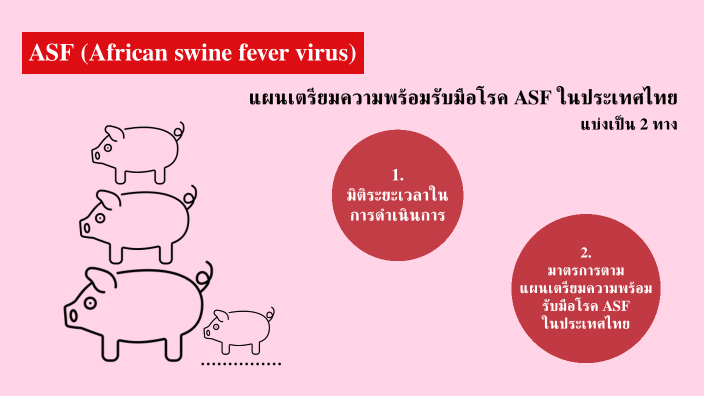 ASF (African swine fever virus) by Phornchita Panma on Prezi