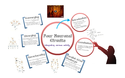 Anatomy 2 by Megan Minniear