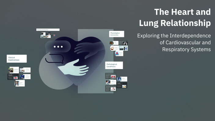 The Heart and Lung Relationship by nora ghanem on Prezi