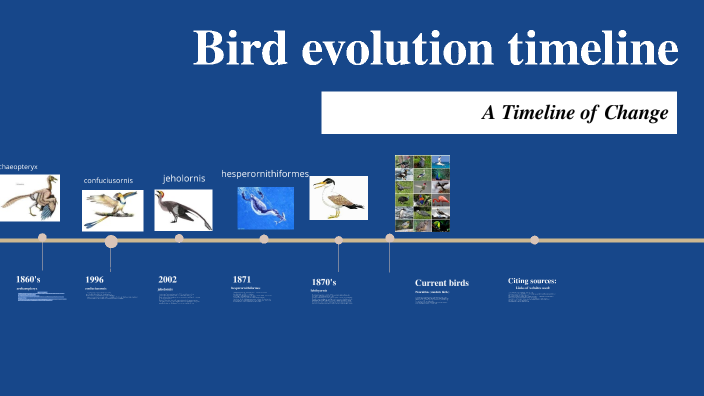 Bird evolution timeline by Elena Nethery on Prezi