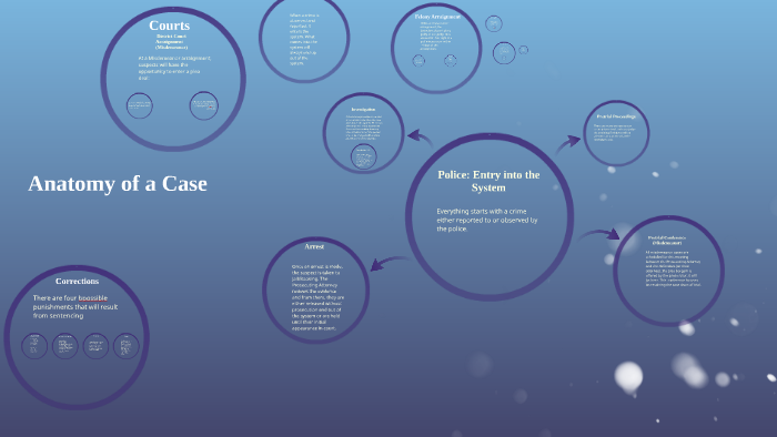 Anatomy of a Case by Hunter Genia on Prezi