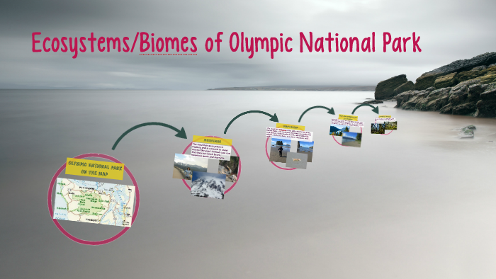 Ecosystems/Biomes of Olympic National Park by Emily McGrath on Prezi