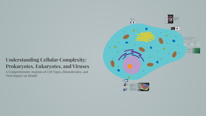Understanding Cellular Complexity: Prokaryotes, Eukaryotes, and Viruses ...