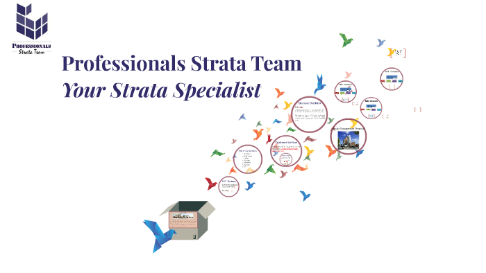 Professionals Strata Team by Katherine Hsu on Prezi