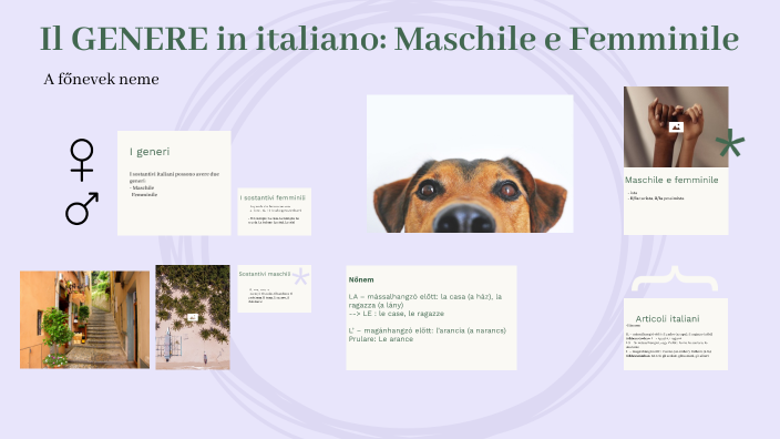 Il GENERE in italiano: Maschile e Femminile by Annamária Kelemen on Prezi