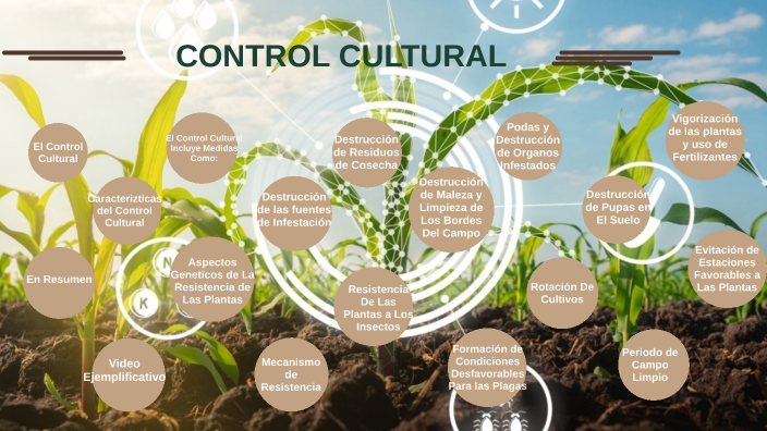 CONTROL CULTURAL by RUBI ALVARADO on Prezi