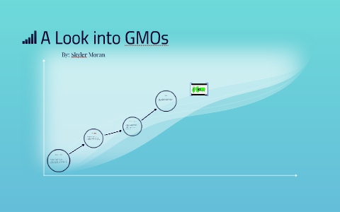 Growth in GMO's and Effects by Skyler Moran on Prezi