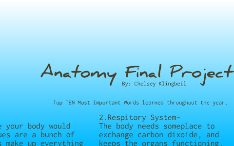 Anatomy Final Project- Top Ten Words by Chelsey Klingbeil