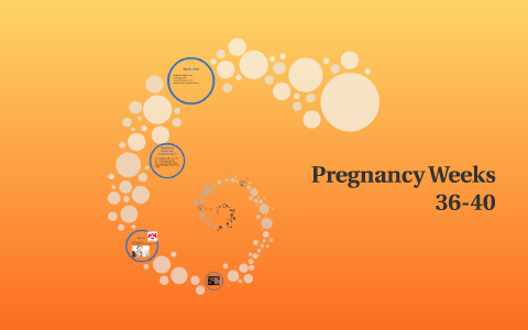 Pregnancy weeks 36-40 by Samantha Myers