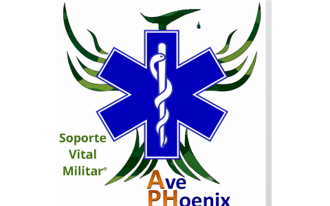 MODELO AvePHoenix by Ave PHoenix