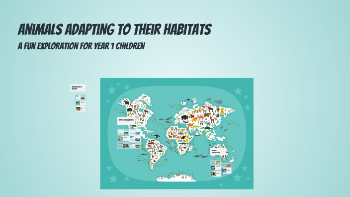 Animals Adapting to Their Habitats by Tamara Fawcett on Prezi