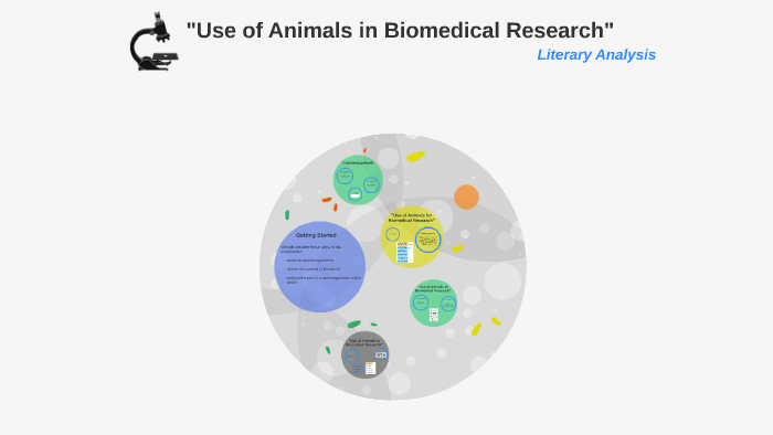 "Use of Animals in Biomedical Research" (Counterarguments) by Jennifer ...