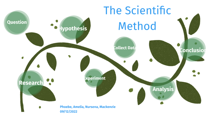 The Scientific Method by Phoebe Williams on Prezi