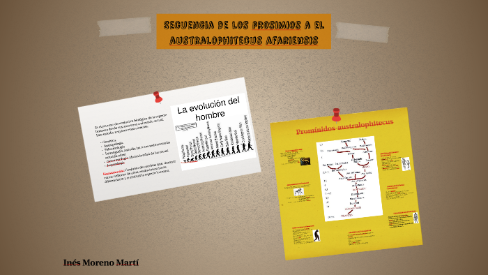 Secuencia de los prosimios a el australophitecus afariensis by Inés ...