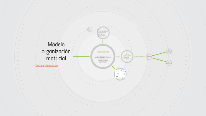 MODELO DE organización MATRICIAL by DANIELA FERNANDEZ
