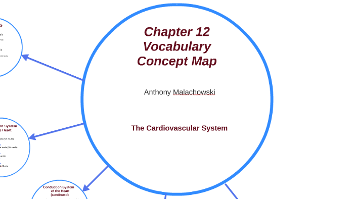 Chapter 12 Vocabulary Concept Map by Anthony Malachowski on Prezi