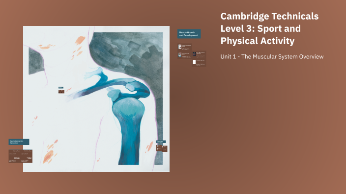 Cambridge Technicals Level 3: Sport and Physical Activity by chris bell ...