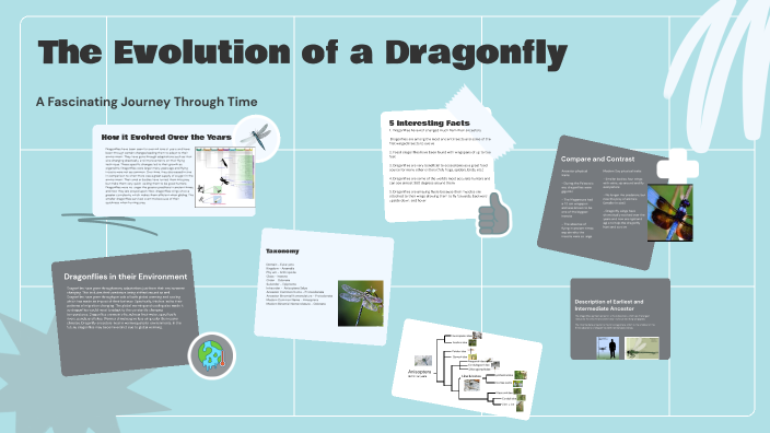 The Evolution of a Dragonfly by Sydney Peifly on Prezi
