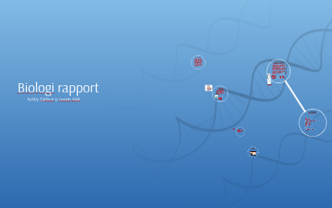 Biologi rapport by Jasmin Abdi on Prezi