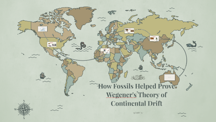 How Fossils Helped Prove Wegener's Theory of Continental Drift by Wendy ...