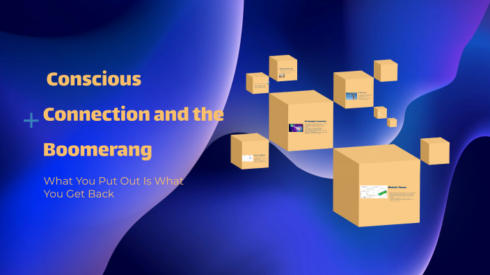 Chapter 1 Conscious Connection And The Boomerang By Daniel Manning On
