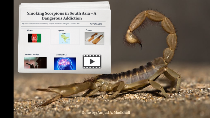 Smoking Scorpions by Amjad Madkhali on Prezi
