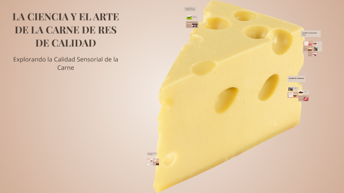 LA CIENCIA Y EL ARTE DE LA CARNE DE RES DE CALIDAD by Martin OSSA ...