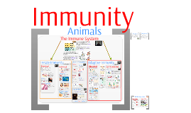 AP Bio- Regulation 6: Immunity by David Knuffke on Prezi