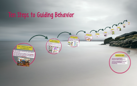 Ten Steps to Guiding Behavior by Alicia Cantu