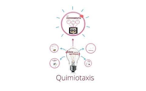 Quimiotaxis by Laura de las Heras on Prezi