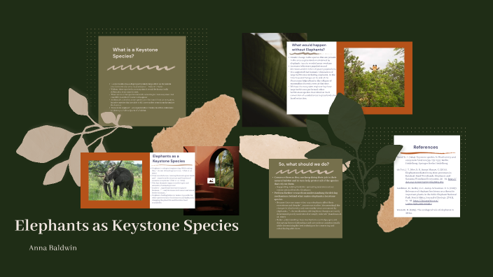 Elephants as a Keystone Species by Anna Baldwin on Prezi