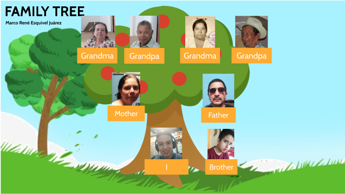 FAMILY TREE by Marco Esquivel on Prezi