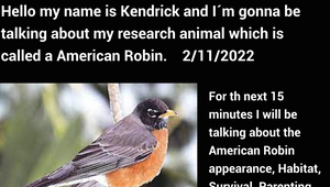 presented by kendrick on the 14th of February by Kendrick Morrison-Cook ...