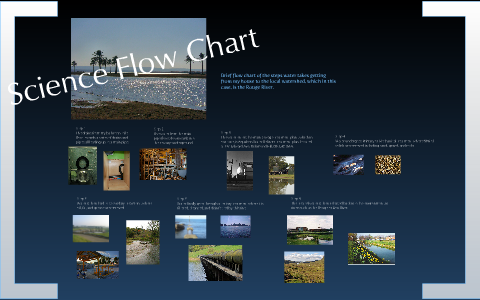 Science Flow Chart by Andrew L on Prezi