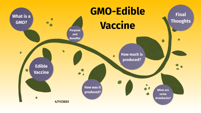 Edible Vaccines by Kiersten Barnhardt on Prezi