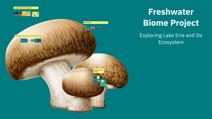 Freshwater Biome Project by NATALIE AHLSTEDT on Prezi