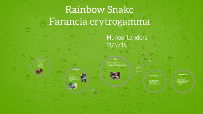 Rainbow Snake by Hunter Landers on Prezi
