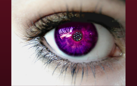 Use of fellow eye data in the calculation of IOR lens power for the ...