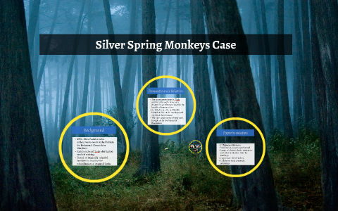 Silver Spring Monkeys Case by paula damas on Prezi