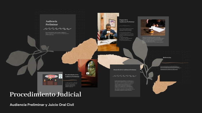 El Procedimiento De La Audiencia Preliminar Y De Juicio Oral Civil By