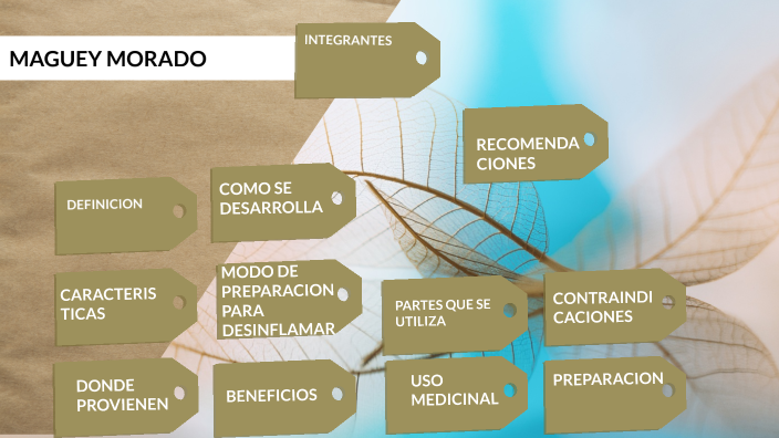 MAGUEY MORADO by Adriana Guzman on Prezi