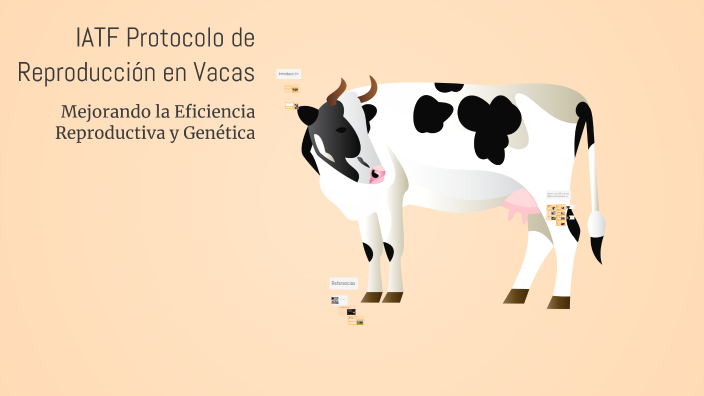 IATF Protocolo de Reproducción en Vacas by Dennis Guachan on Prezi