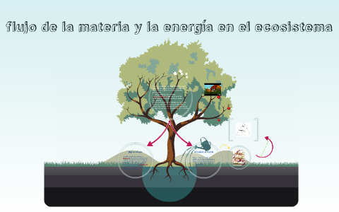 flujo de la materia y la energía en el ecosistema by mati coronilla ...