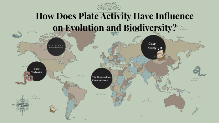 How Does Plate Activity Have Influence on Evolution and Biodiversity ...