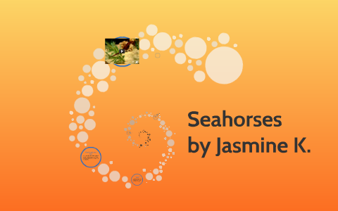 where do seahorses live? by jasmine krause on Prezi