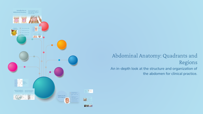 Abdominal Anatomy: Quadrants and Regions by Ahmed M Galal on Prezi