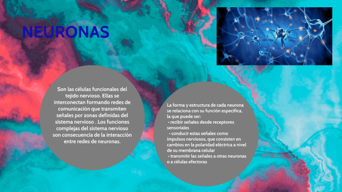 NEURONAS by Mayra Azucena Lopez Gutierrez on Prezi