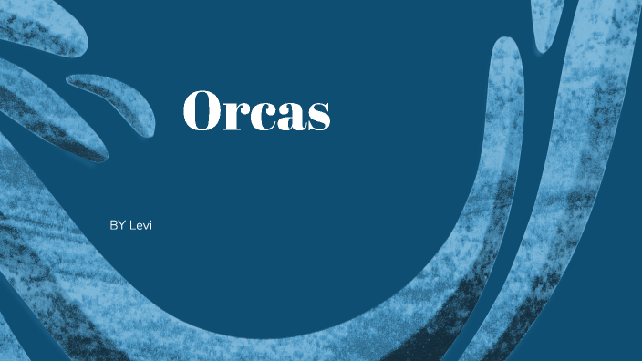 Orcas by Levi Carbone on Prezi