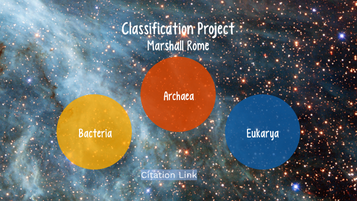 Marshall Rome Classification Project by Marshall Rome on Prezi