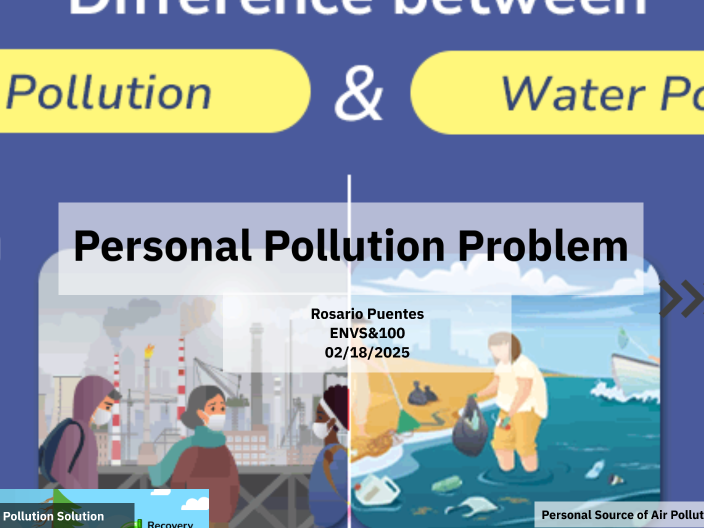 Personal Pollution by Rosario Puentes on Prezi